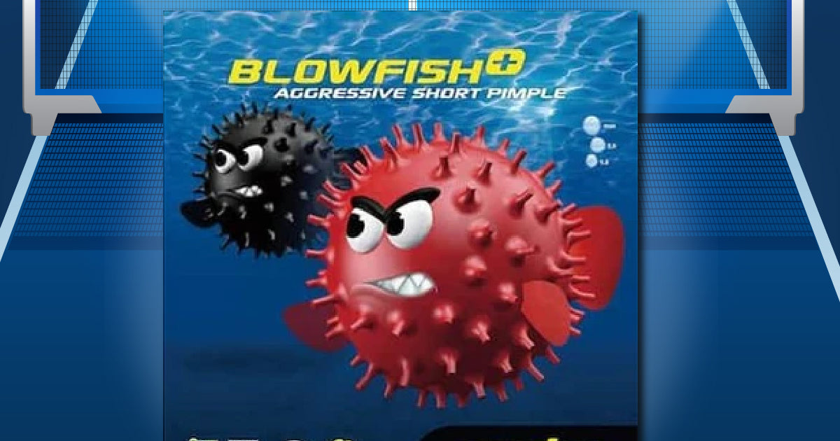 Buy Andro Blowfish+ Table Tennis Rubber Online - Scssports.in – SCS Sports
