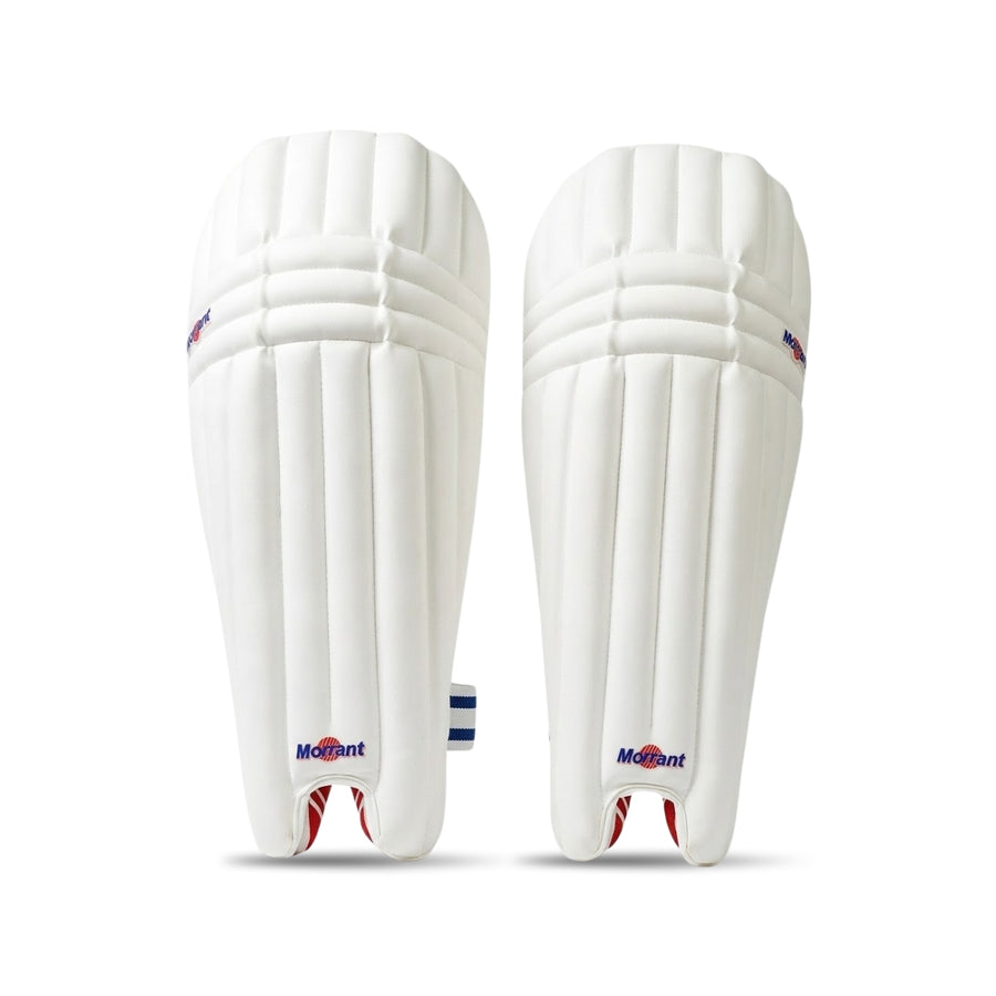 Buy Cricket Pads Online Best Price India | Scssports.in – SCS Sports